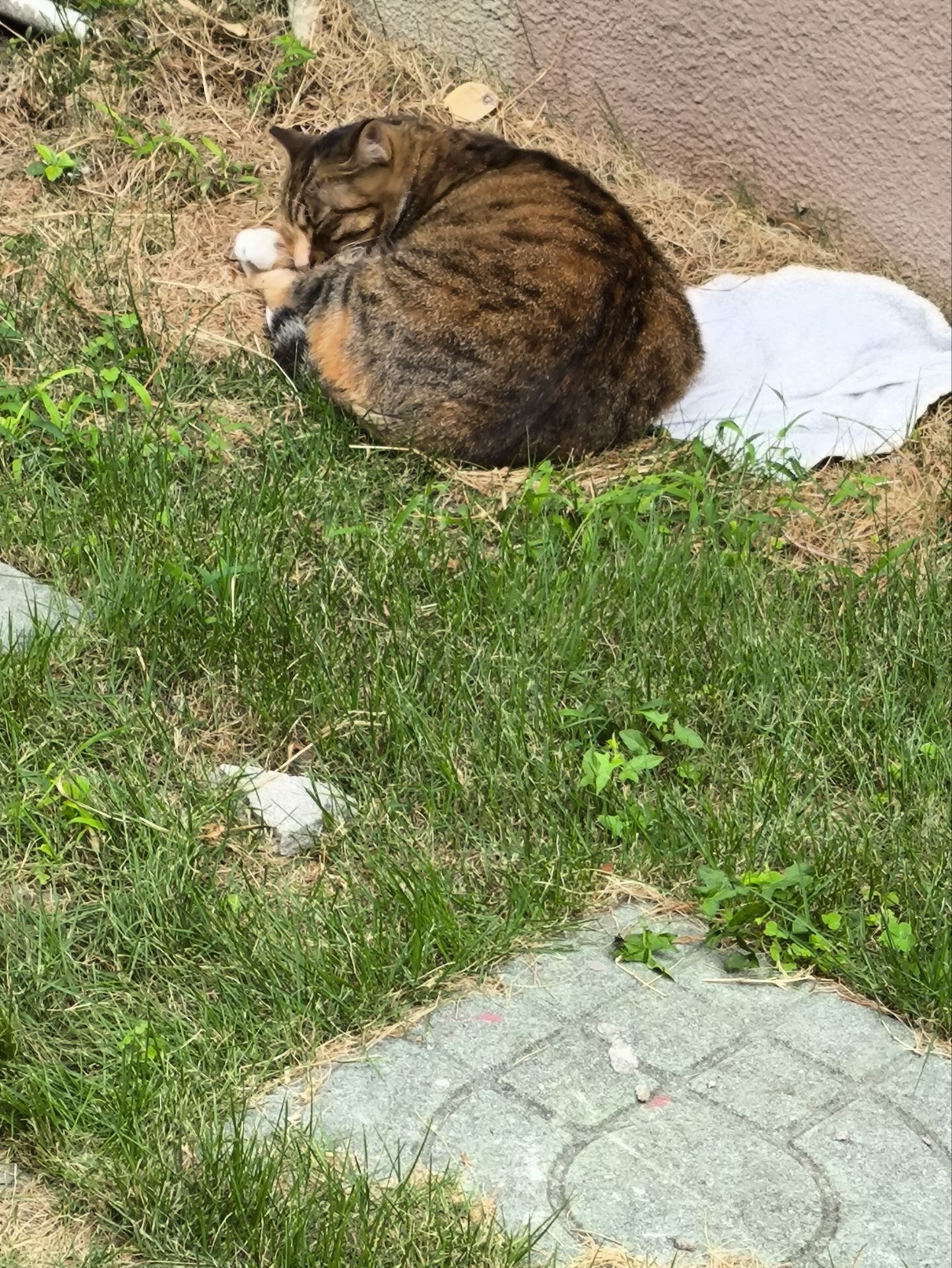 第四季度的一份随笔（一） - Moni的博客 | Moni Blog